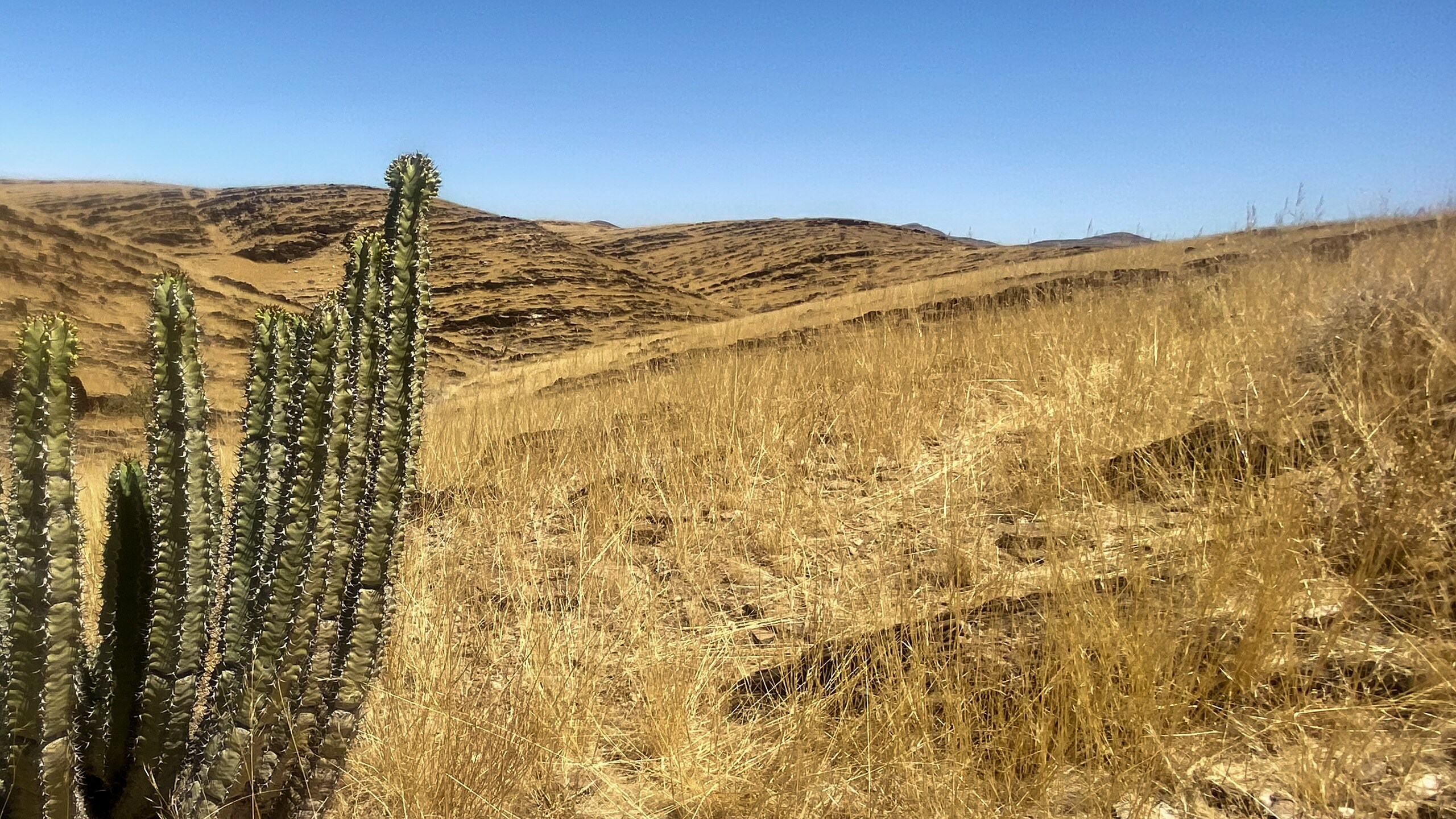 GS Trophy 2024 国际挑战营 | BMW Motorrad